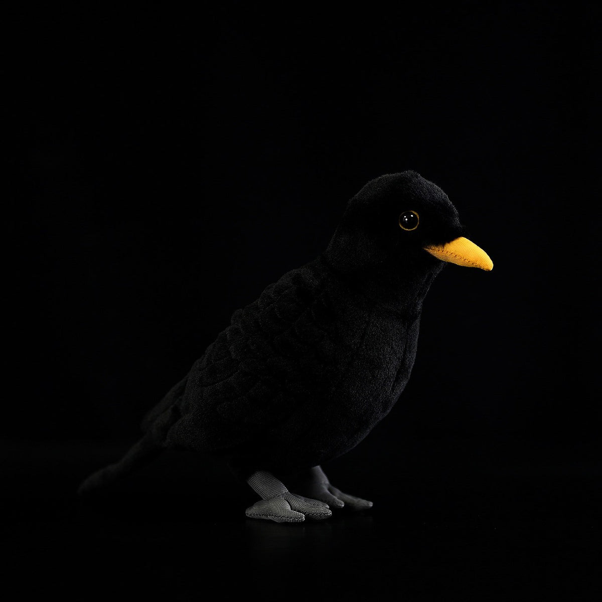 SoftDaysLab Realistic Eurasian Blackbird Plush Toy – Soft, Lifelike ...