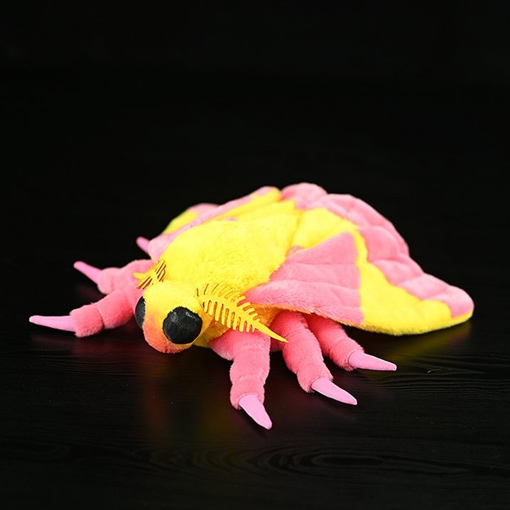 Insect Plush Toys | Cute Creepy Crawlies - SoftDaysLab